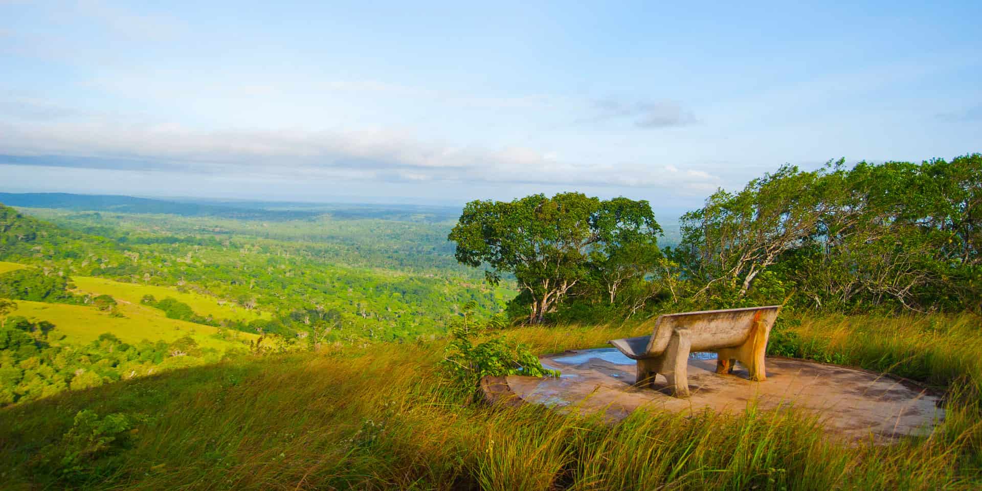 Shimba Hills National Reserve Day Trip from the Coast : Quick Escape ...