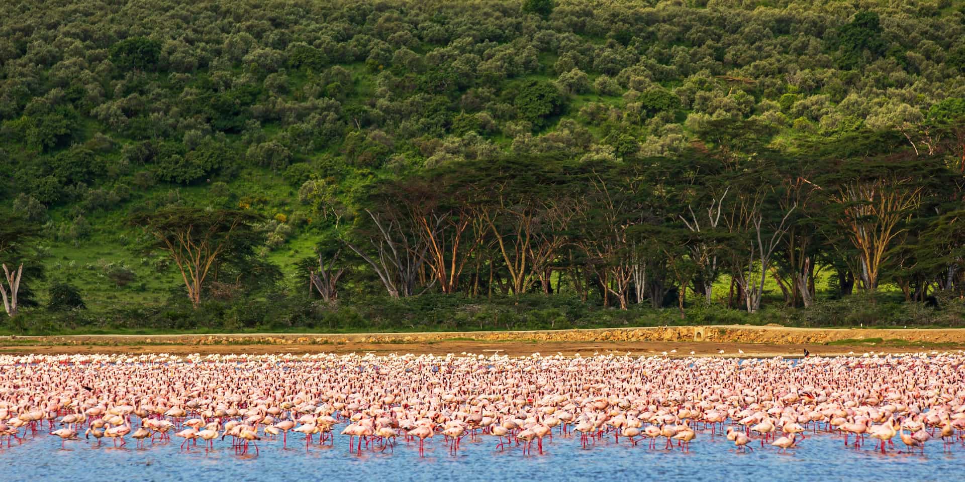 Whispers on the Water: List of Top 10 Lakes to visit in Kenya