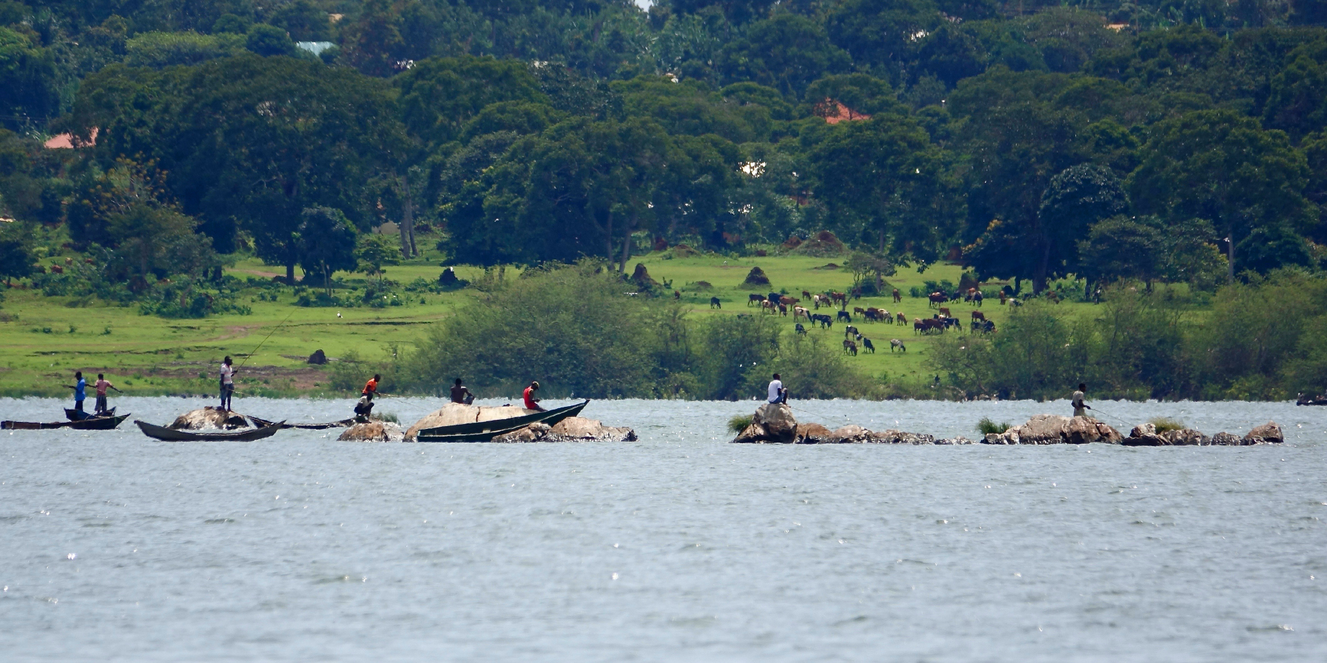 Visit Lake Victoria in Kenya: A Paradise for Nature Lovers